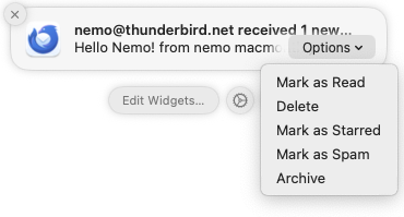 New email notifications in Thunderbird | Thunderbird Help